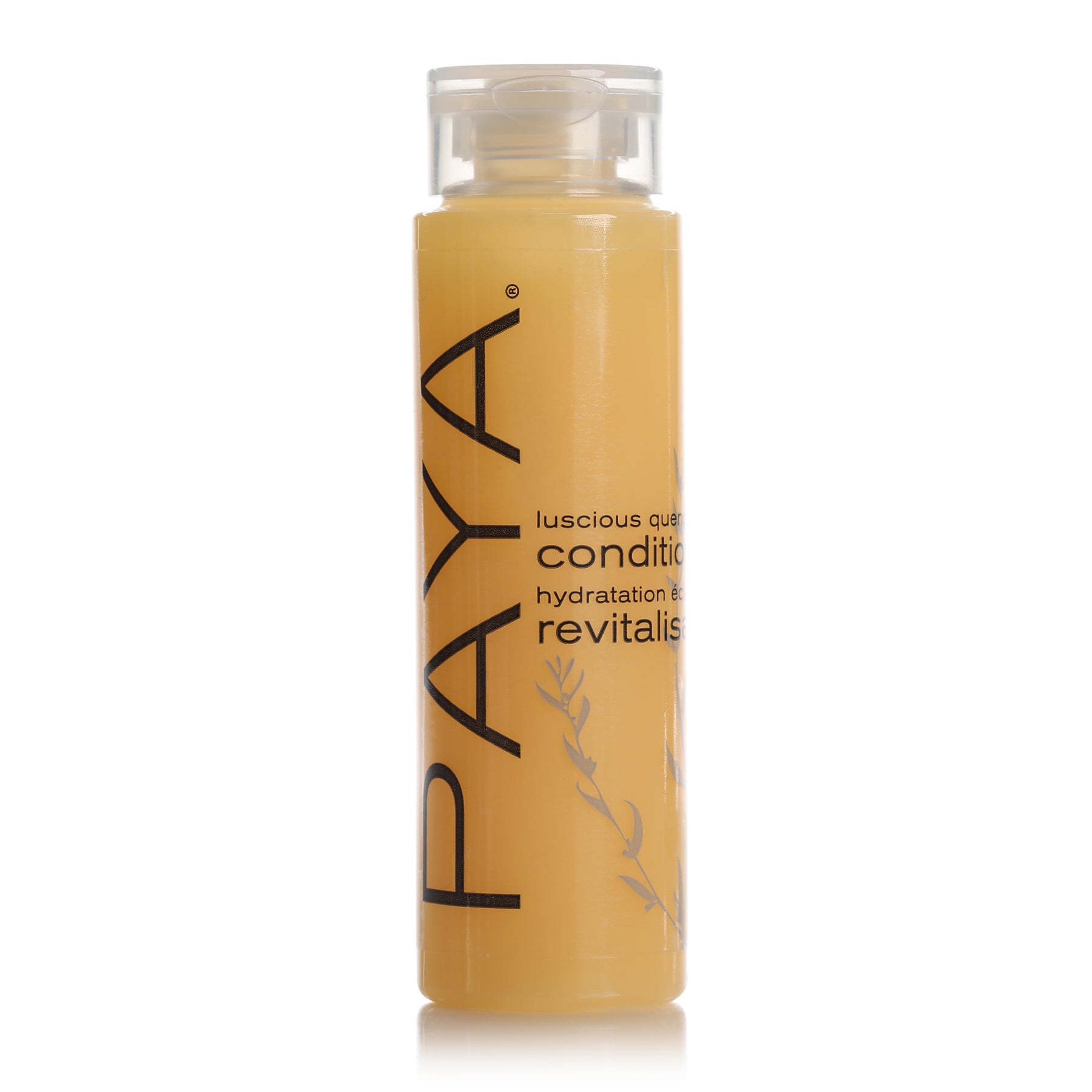 PAYA® Conditioner, 1.0 oz small bottle, 144 per case – Fluent Web Store